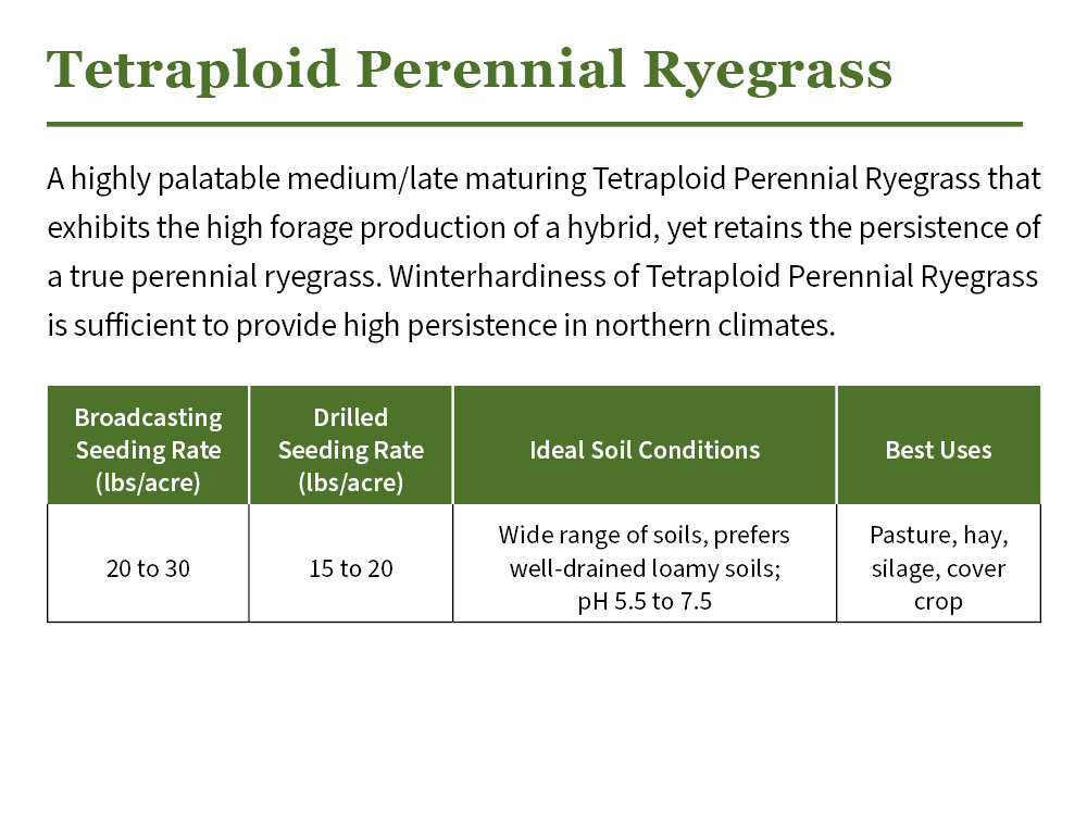 Forage - RJ Hunt Seed Company