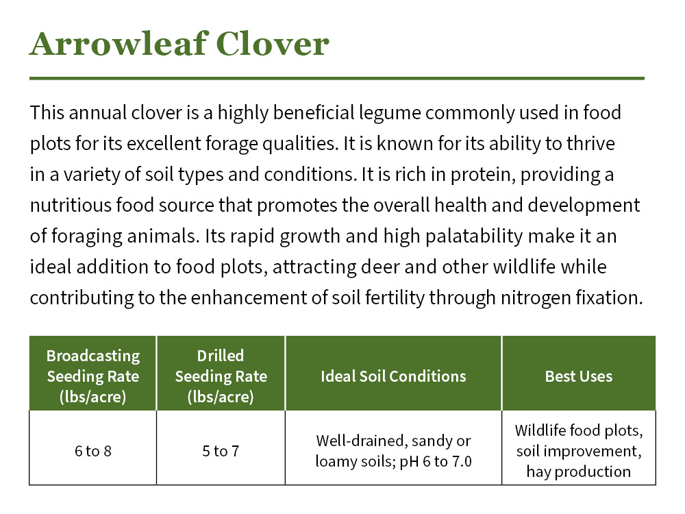 Wildlife - RJ Hunt Seed Company