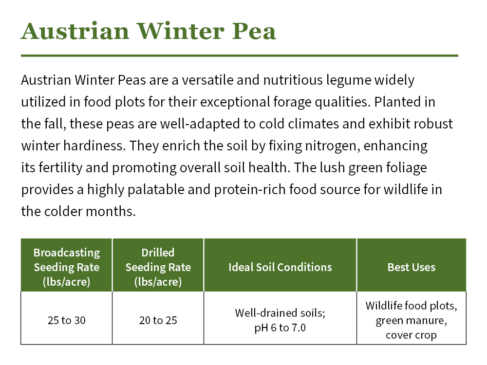 Wildlife - RJ Hunt Seed Company