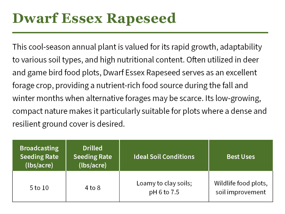 Wildlife - RJ Hunt Seed Company