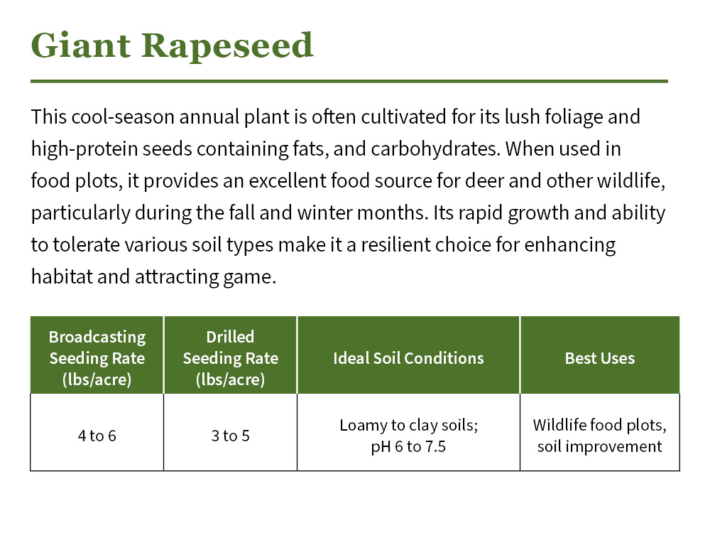 Wildlife - RJ Hunt Seed Company