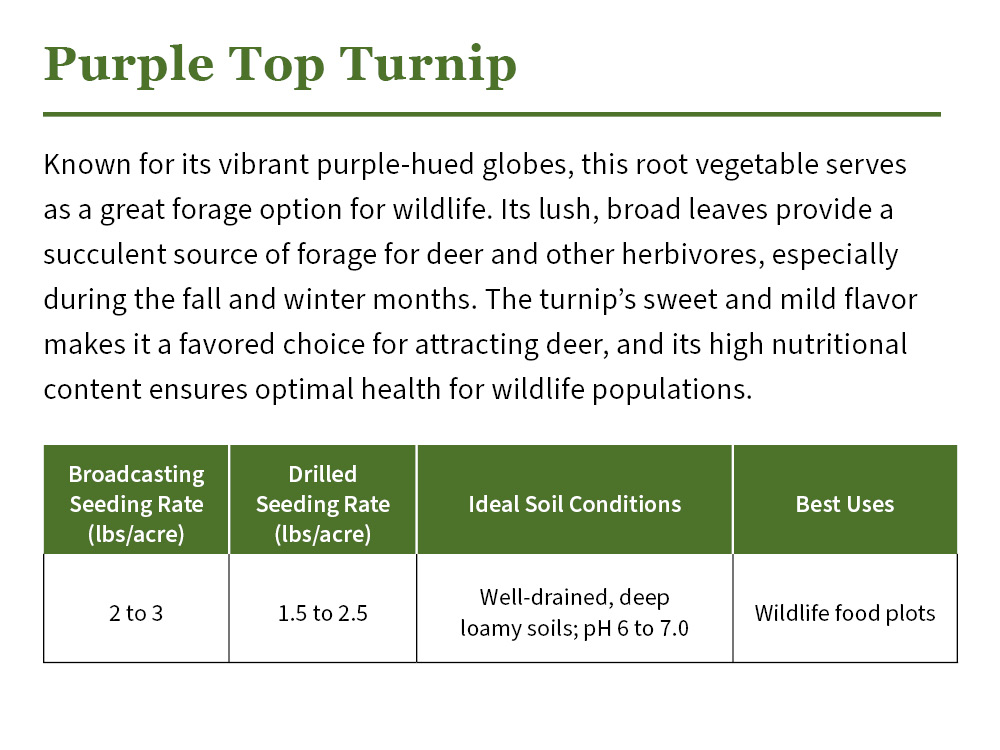 Wildlife - RJ Hunt Seed Company