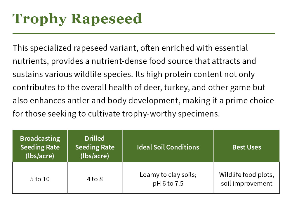 Wildlife - RJ Hunt Seed Company